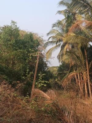Residential land / Plot for sale in Maina Goa - 57348 Sq. Yard.
