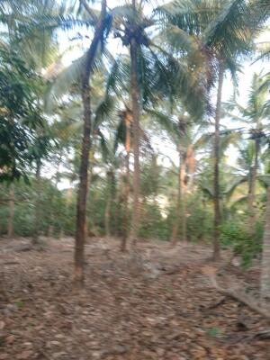 Residential land / Plot for sale in Maina Goa - 57348 Sq. Yard.