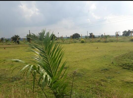 Residential land / Plot for sale in village hingni kings villa Wardha ...