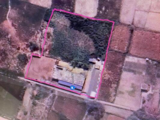 Agriculture / Farm land for sale in Rameshwar Varanasi - 6000 Sq. Yard.