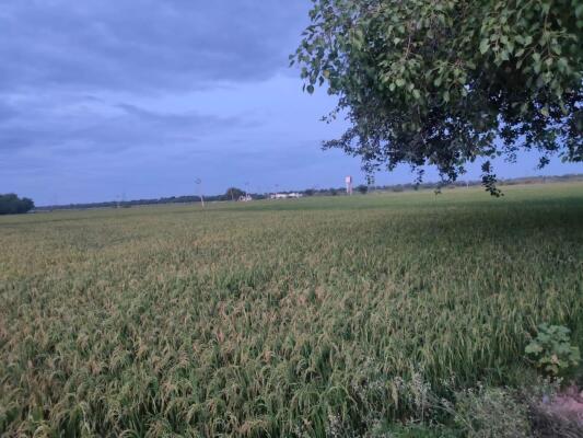 Minjur Modern City Resale - 2+ Flats for Resale in Minjur Modern City ...