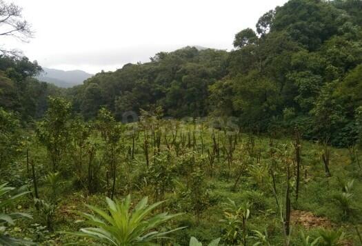 Agriculture / Farm land for sale in patla Sakaleshpur - 3087 Sq. Yard.