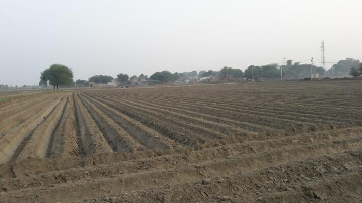 Agriculture / Farm land for rent in Hasayan Hathras - 145200 Sq. Yard.