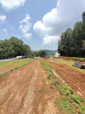 Gated Community Plots in Yercaud Salem - 8+ Properties