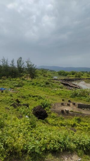 Residential land / Plot for sale in Alibaug Raigad - 24200000 Sq. Yard.