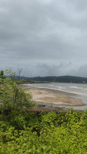 Residential land / Plot for sale in Alibaug Raigad - 24200000 Sq. Yard.