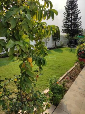 Plots for sale in Kurukshetra - 45+ Residential Land / Plots in Kurukshetra