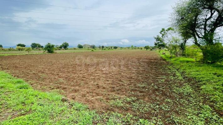 Agriculture land for sale in Jamner, Jalgaon - Farm land for sale in ...