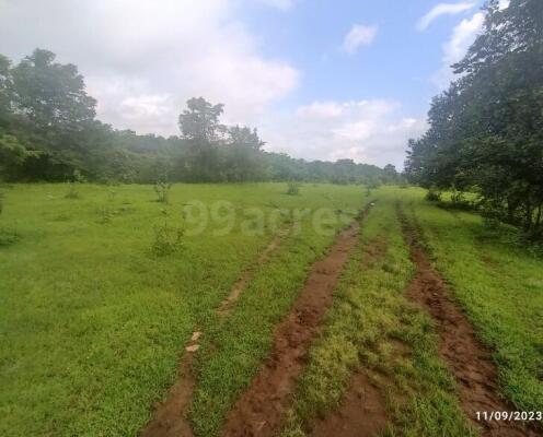 Plots in Pali Raigad - 3+ Residential Land/ Plots for sale in Pali Raigad