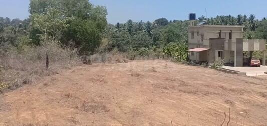 Agriculture / Farm land for sale in Padubidri Udupi - 2081 Sq. Yard.
