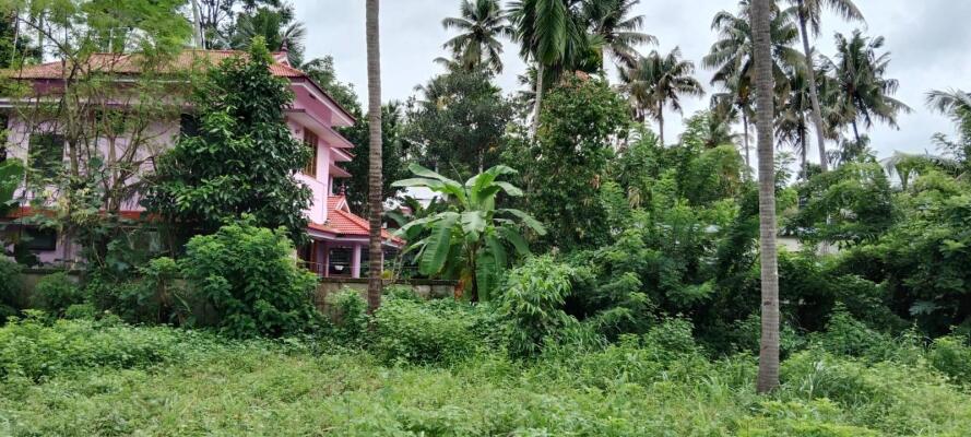 Plots for sale in Kanjany Thrissur - 1+ Residential Land / Plots in ...