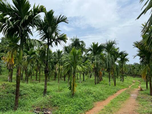 Agriculture / Farm land for sale in Karkala Udupi - 41624 Sq. Yard.