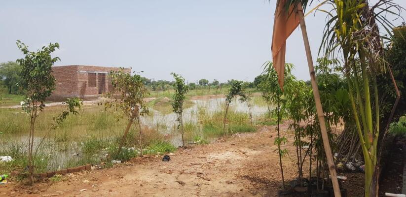 Residential land / Plot for sale in Akbarpur village Vrindavan - 100 Sq ...