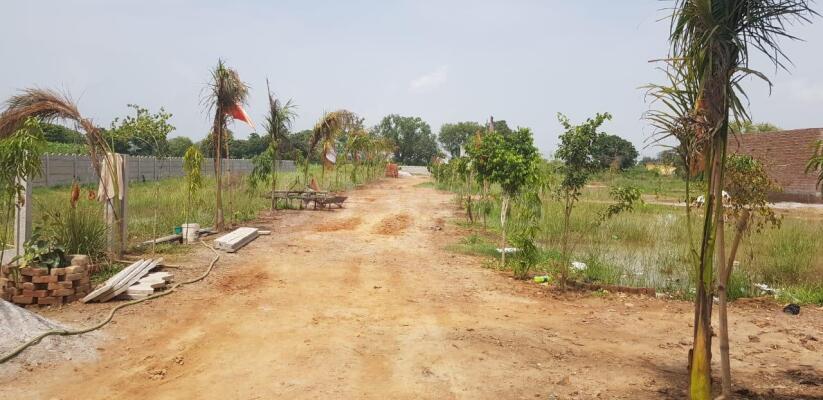 Residential land / Plot for sale in Akbarpur village Vrindavan - 100 Sq ...