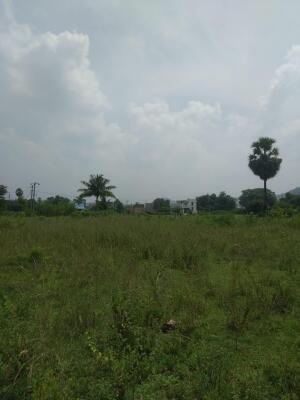 Residential land / Plot for sale in Arakkonam Vellore - 200 Sq. Yard.