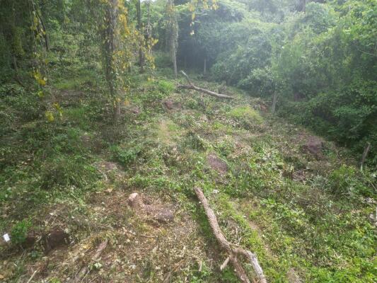 Plots for sale in Goa - 360+ Residential Land / Plots in Goa