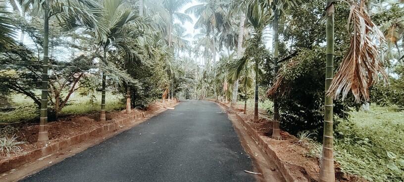 Residential land / Plot for sale in Anaikatti Coimbatore - 48 Sq. Yard.