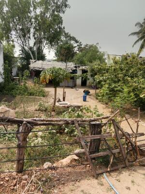 East Facing Plots in Anumula Nalgonda - East Facing Land / Plots for ...