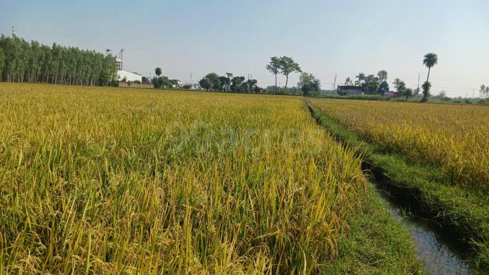 East Facing Plots in Gadarpur Udham Singh Nagar - 1+ East Facing Land ...