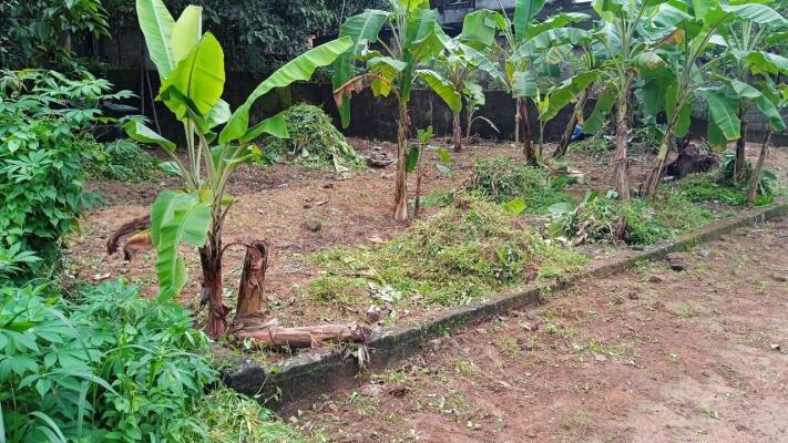 Residential land / Plot for sale in Vilappilsala Trivandrum - 194 Sq. Yard.