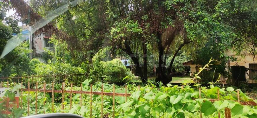 Plots for sale in Fatorda Goa - Residential Land / Plots in Fatorda Goa