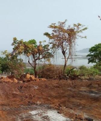 4499 sq yard to 8999 sq yard - Plot for sale in Alibaug, Raigad