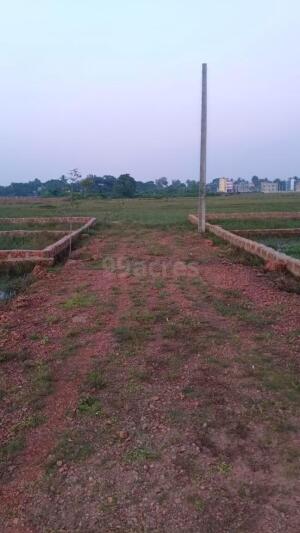 Plots for sale in Salepur Cuttack - 1+ Residential Land / Plots in ...