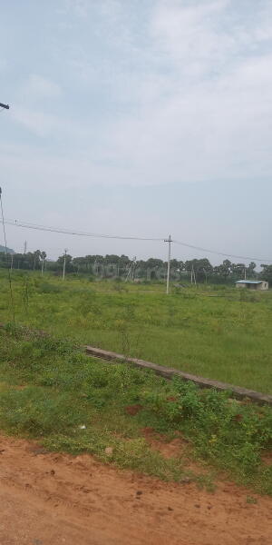 Property in Paravada Visakhapatnam - Real Estate in Paravada Visakhapatnam