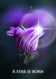 BVL Aster KC Layout, Mysore Resale Price List, Brochure, Floor Plan ...