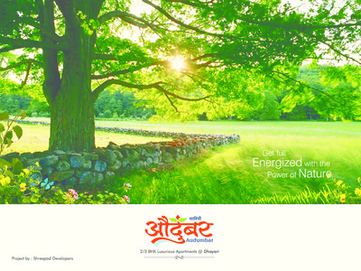 Shreepad Savitri Audumbar Pune, Dhayari Resale Price List, Brochure ...