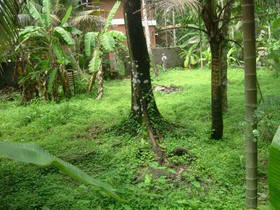 1 crore to 2 crores - Plot for sale in Ponekkara, Kochi